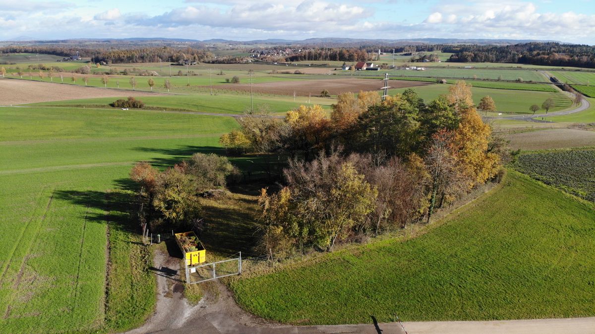 Waldfeststellung in Andelfingen: Wann ist ein Wald ein Wald? | Der Landbote