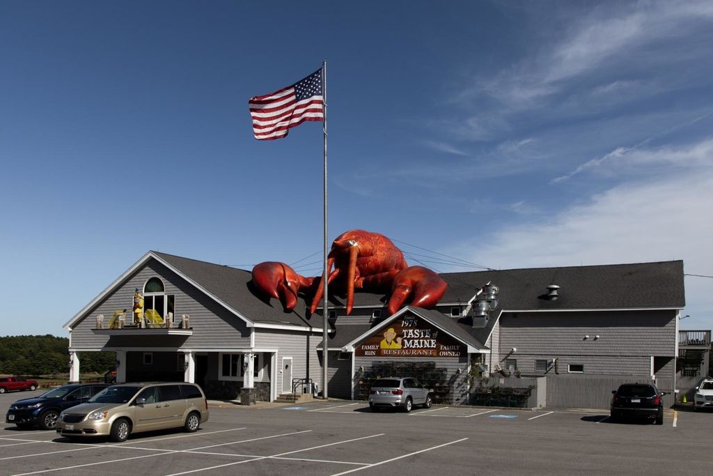 Für den Hummer wird es bald zu heiss | Tages-Anzeiger