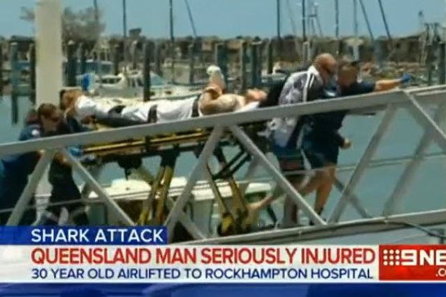 Attaque – Un nageur blessé par un requin en Australie | 24 heures