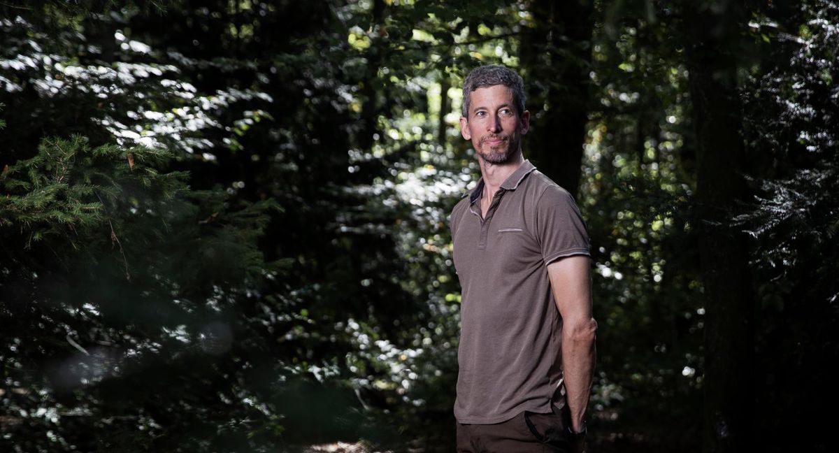 Tanz im Dählhölzliwald: Joshua Monten aus Bern kreiert Stücke für ein ...