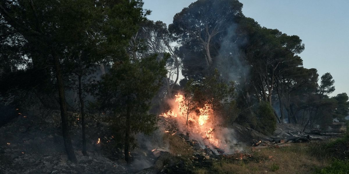 Incendie en France: 2000 hectares de forêt en feu près de Narbonne | Tribune de Genève