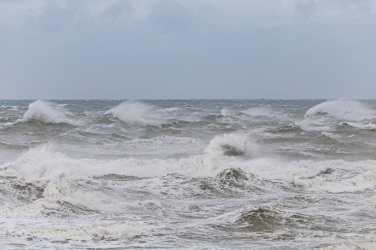 Nearly 70 Countries Sign Historic Treaty to Protect the High Seas – Archyde