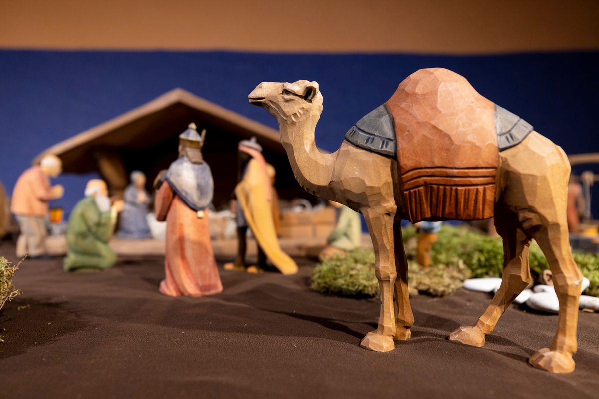 Menoa Stauffer | Tages-Anzeiger