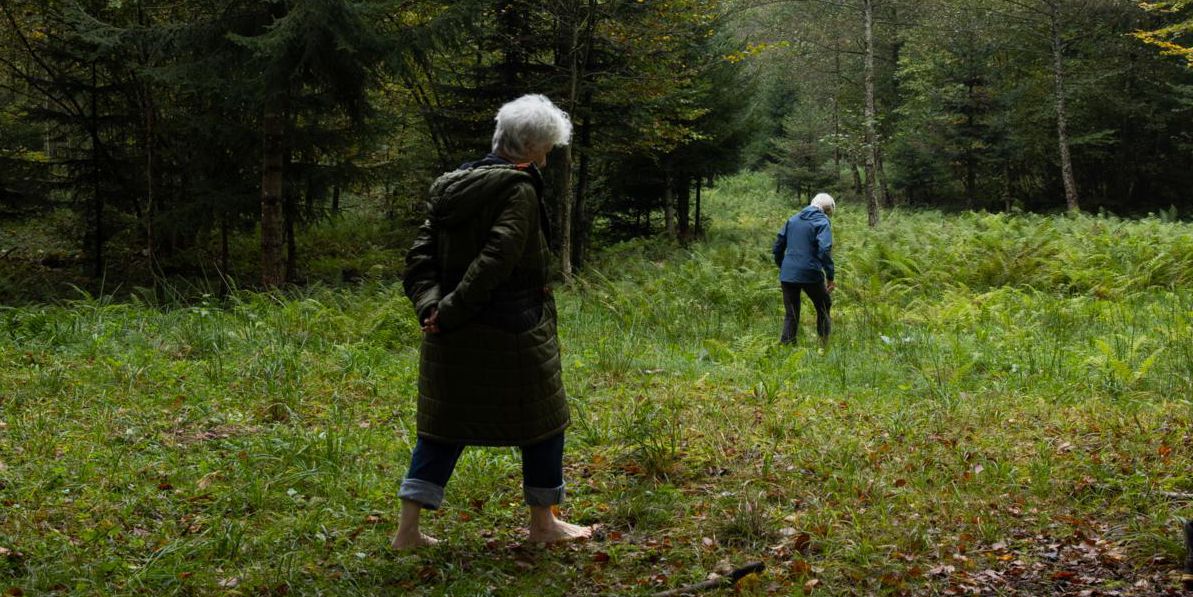 Waldbaden am Zürcher Uetliberg: So kommen sie im Wald zur Ruhe | Basler ...