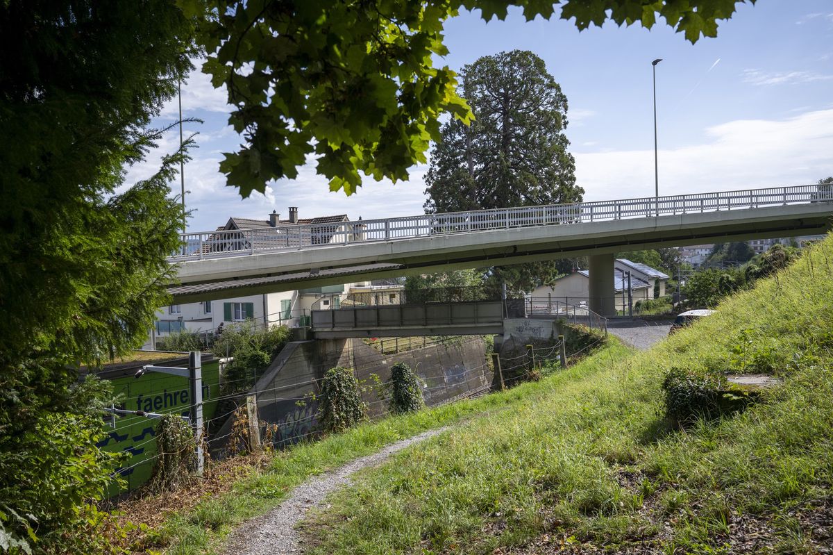 Bezirksgericht Horgen: Hunde­besitzerin wegen schwerer Körper­ver­let ...