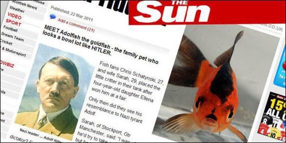 Hitler-Doppelgänger – Der größte Fisch aller Zeiten - L'essentiel