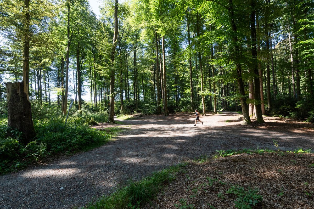 Die schönsten Orte im Kanton Bern: Ein geheimer Wasserfall und eine ...