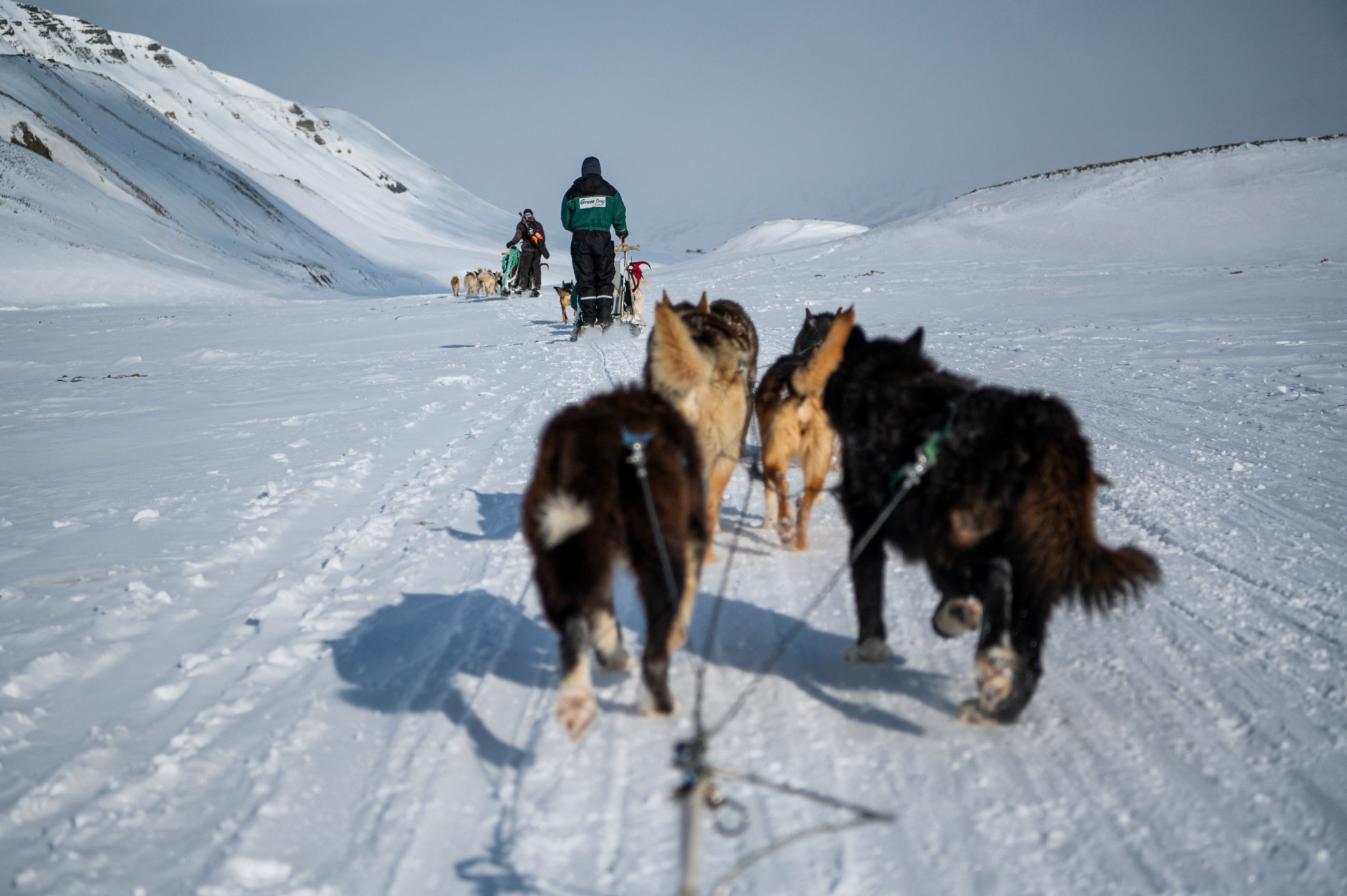 DIRECT. Groenland: Arrêtons de «flatter» Trump, dit l’ancien chef de l’Otan