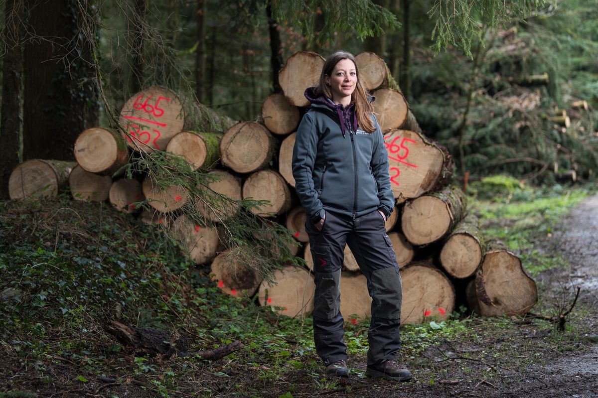 Für vitale Wälder: Private Waldbesitzer delegieren die Forstarbeit ...