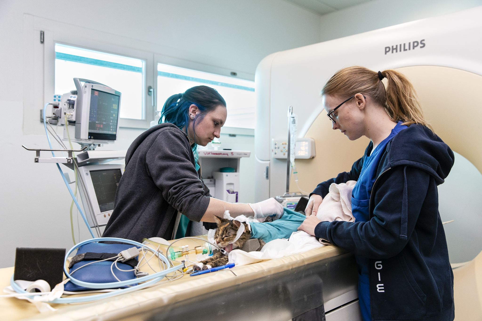 Tierklinik Bern – Berner investieren pro Jahr über 12 Millionen in Hund ...