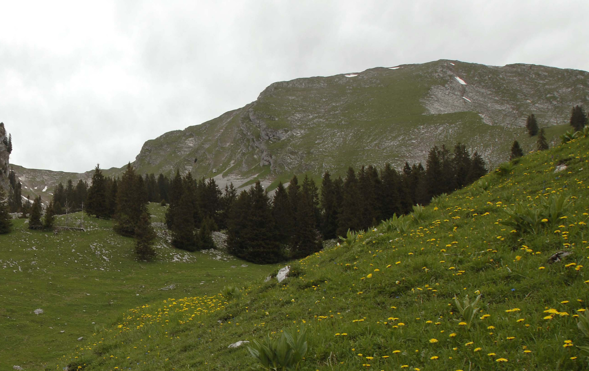 Dent de Lys: Wanderer stürzt 200 Meter in den Tod