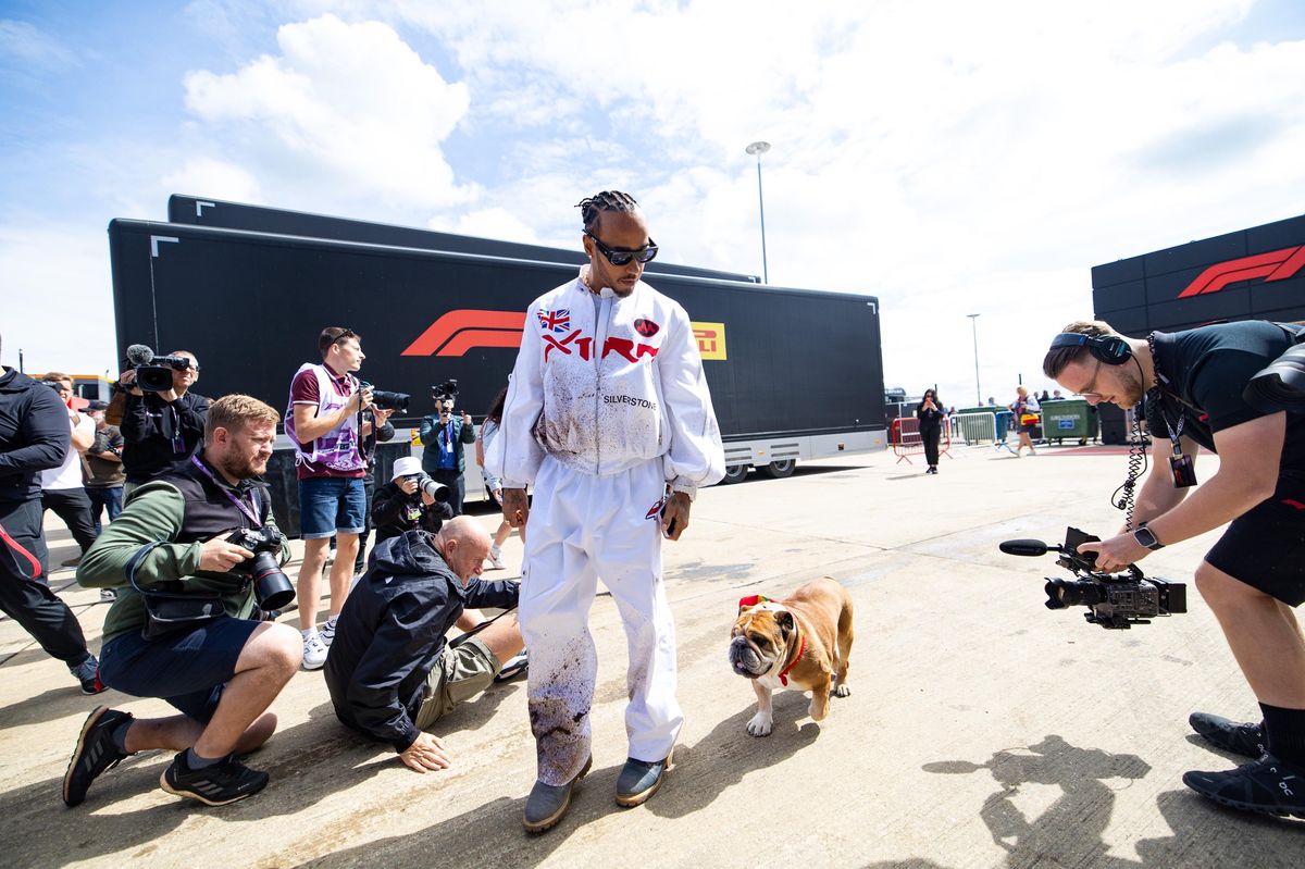 Roscoe, le chien végane de Lewis Hamilton, star de la Formule 1 | 24 heures
