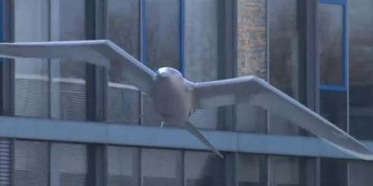 SmartBird – Le robot qui vole comme un oiseau - L'essentiel