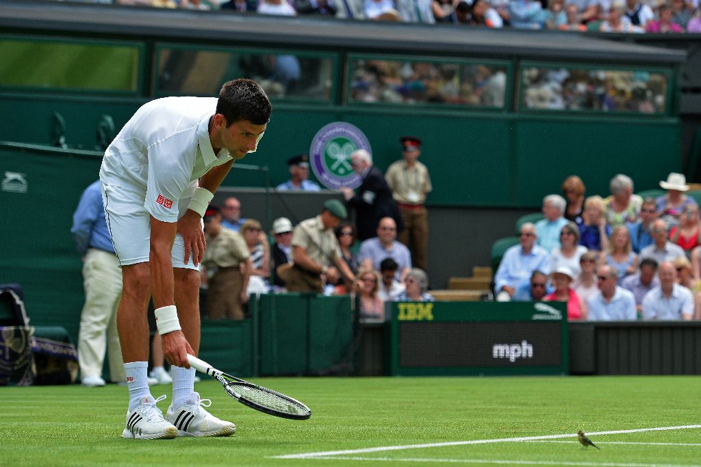 Ce qu'il faut retenir du 1er jour à Wimbledon | Tribune de Genève