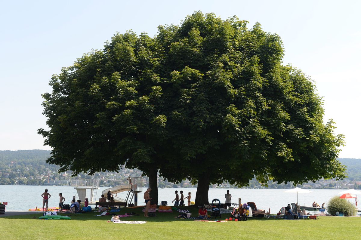 Kolumne «Dorfgeflüster»: Wie man in Kilchberg gratis ein Badi-Abo ...