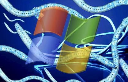 Microsoft met en garde contre tous les vers informatiques - L'essentiel