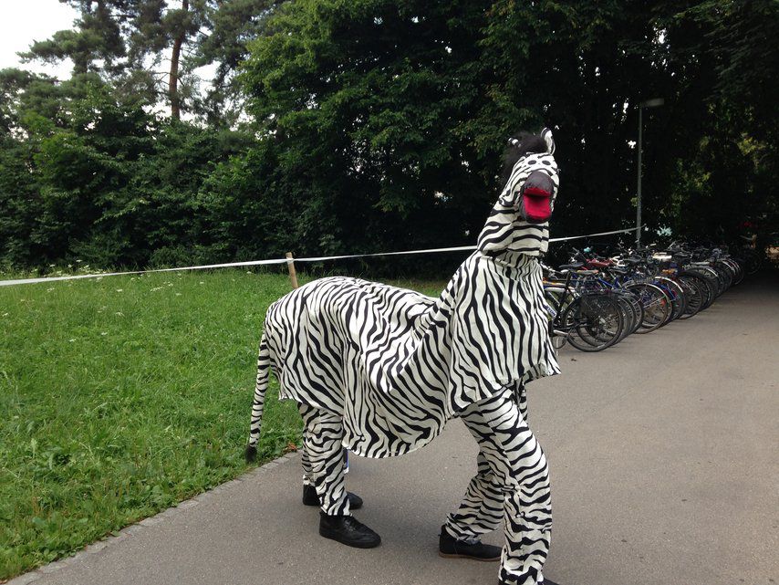 Das Gurten-Zebra | Berner Zeitung