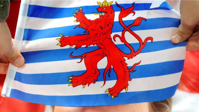 Nouvelle constitution – Le luxembourgeois, langue du Luxembourg - L ...