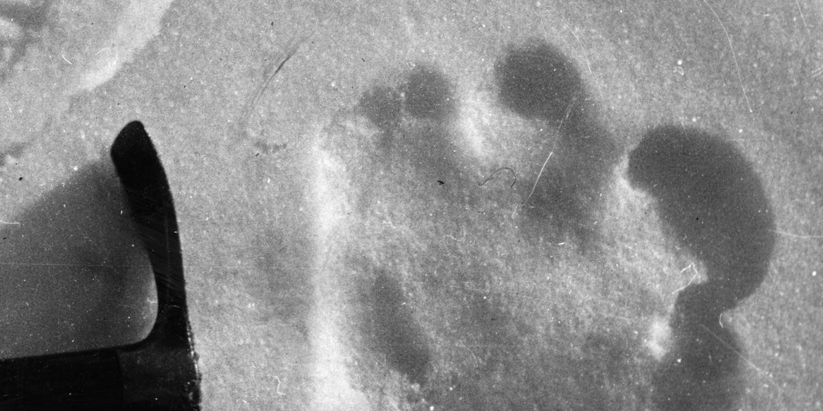 Tom Slick suchte den Yeti: Spektakuläre Spuren am Mount Everest | Der Bund