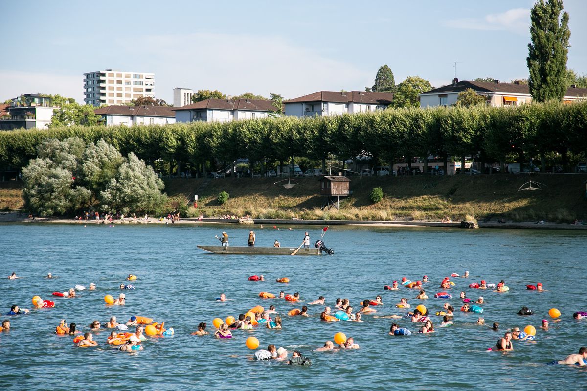 Prächtiges Basler Rheinschwimmen: Fast 5000 Menschen schwimmen bei ...
