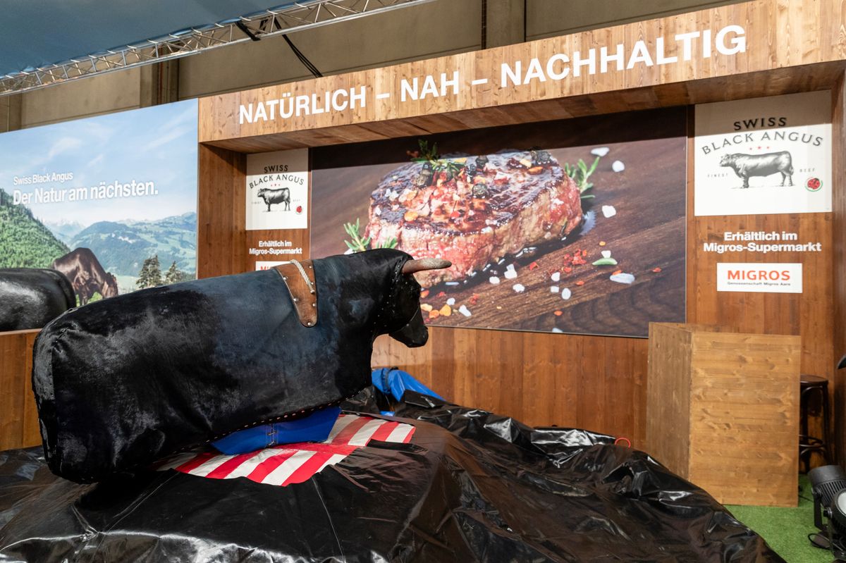 BEA 2024: Das sind die Angebote für Kinder | Berner Zeitung