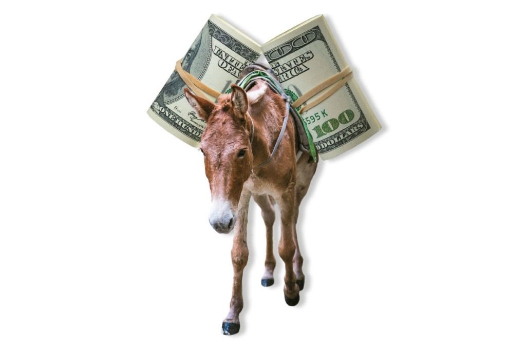 Le «money muling»: l'arnaque en vogue sur les sites de petites annonces ...