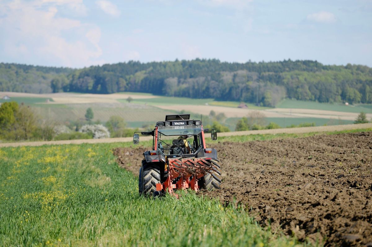 Carbon Farming: Pflügt dieser Trend die Landwirtschaft um? | Berner Zeitung