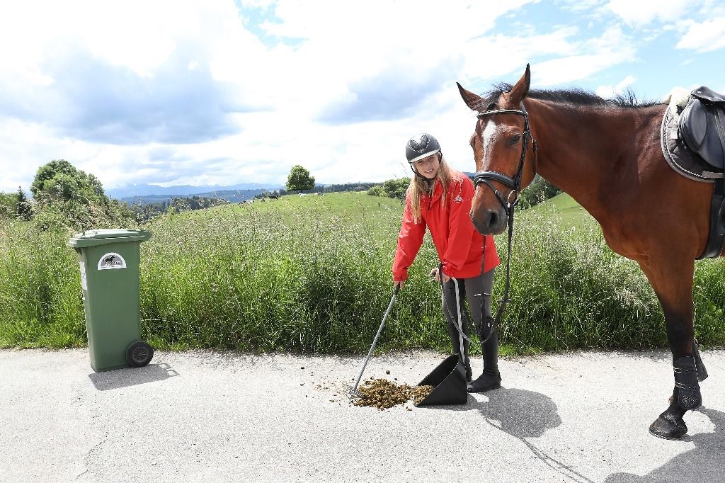 Der Robidog fürs Ross | Berner Zeitung