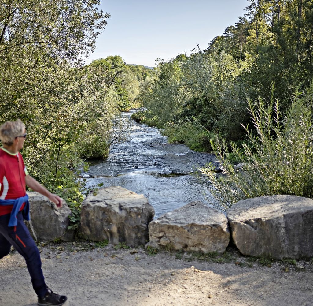 Der Fluss im Wald | Basler Zeitung