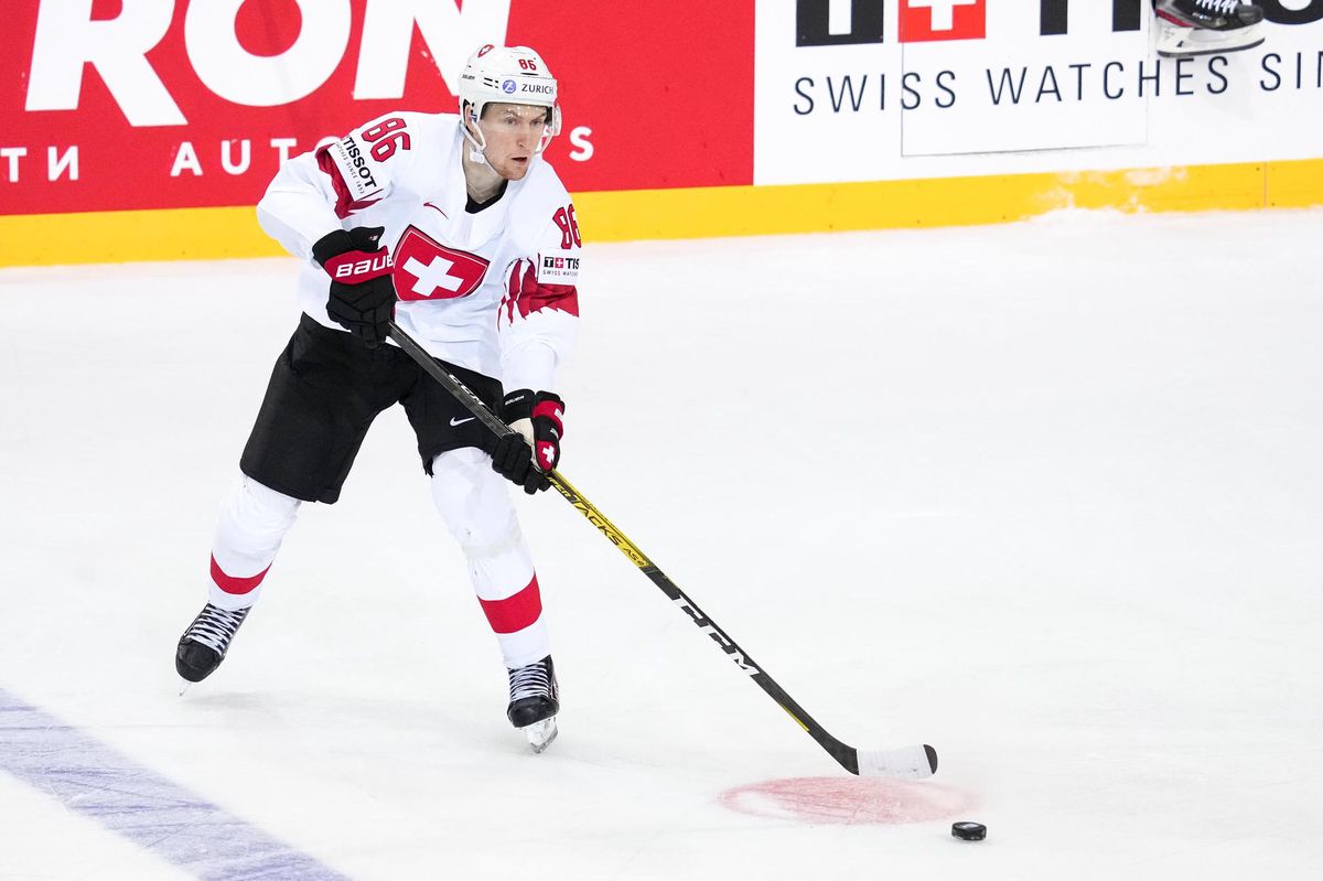 Hockey sur glace – Débuts en NHL de Janis Moser: mais qui sont ces ...