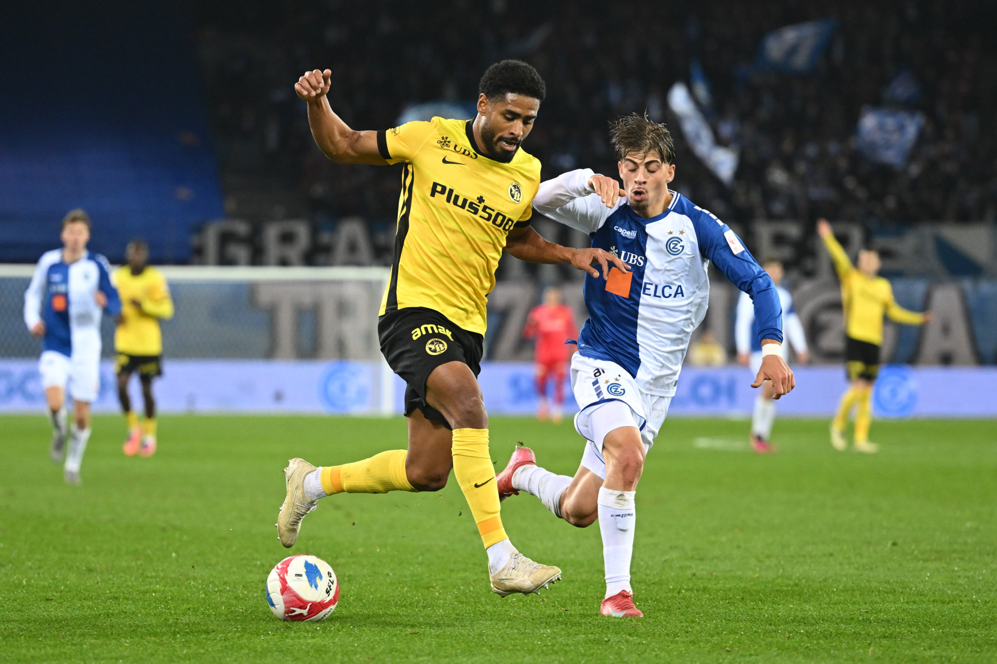 BSC Young Boys | Der Bund