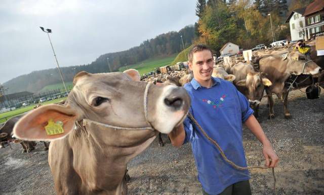 Im Stall hat es gleich gefunkt | Tages-Anzeiger