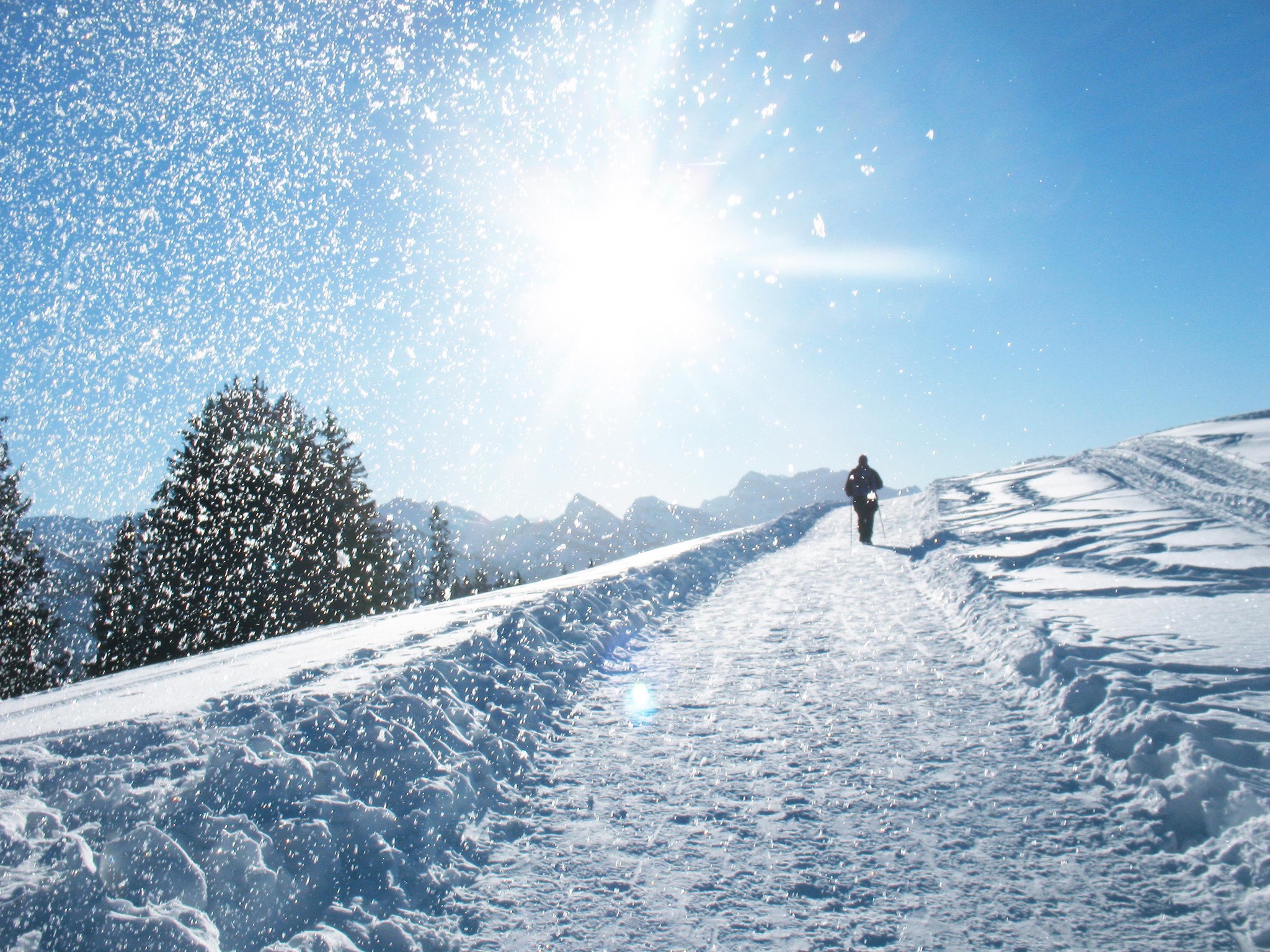 6 Routen mit Weitsicht: Wandergenuss im Winter | Tages-Anzeiger