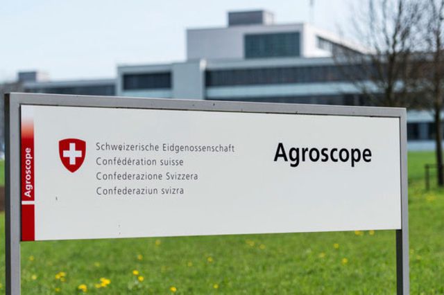 Agroscope recense 12'000 plantes utiles en Suisse | Tribune de Genève