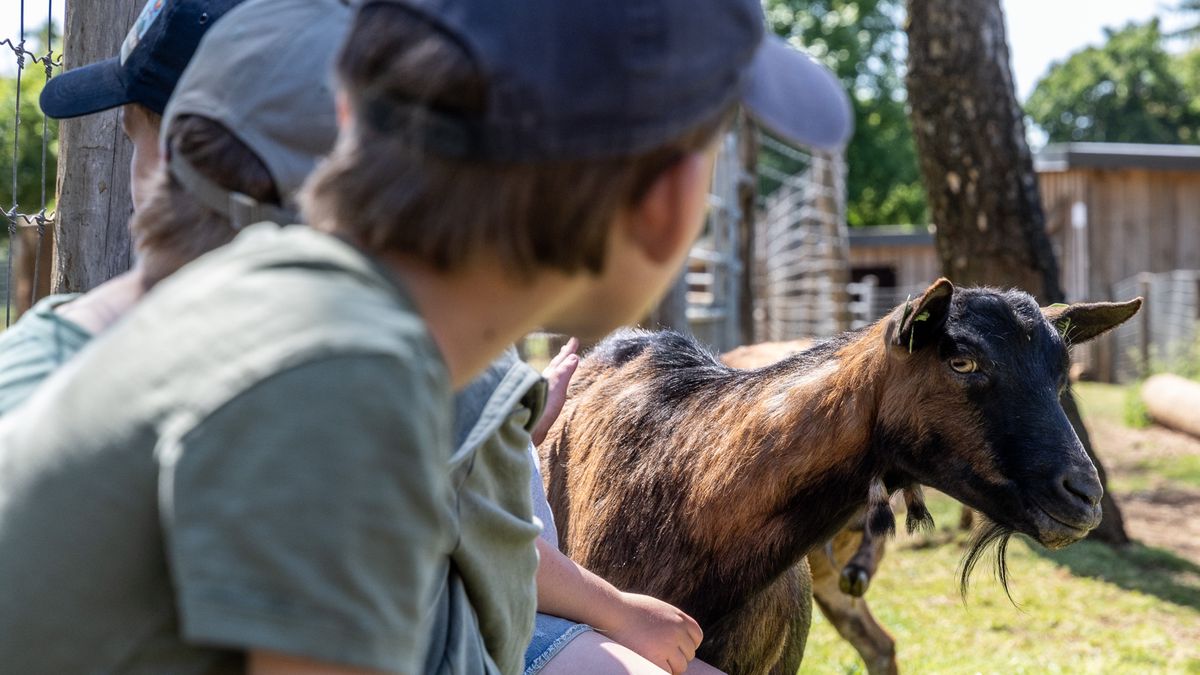 Luxemburg: Kinder erleben Tierpflege-Schnuppertage - L'essentiel