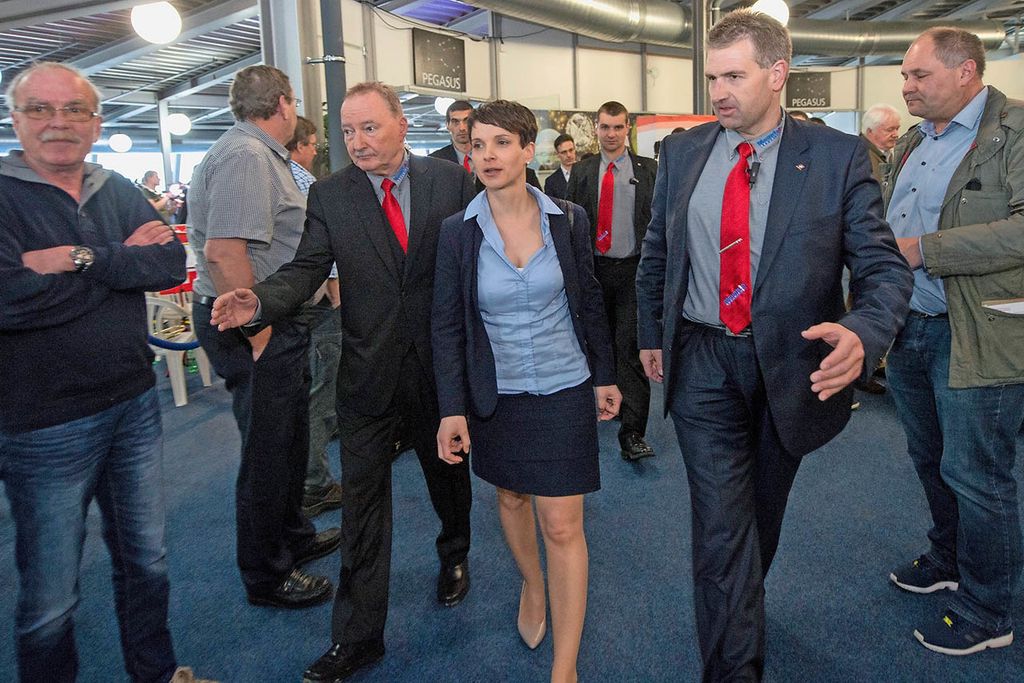 Frauke Petry auf der Suche nach Verbündeten | Der Bund