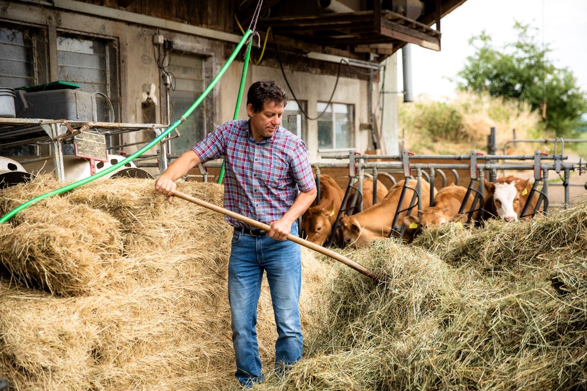 Bauernverbandspräsident Marc Brodbeck beklagt Ernteausfall | Basler Zeitung