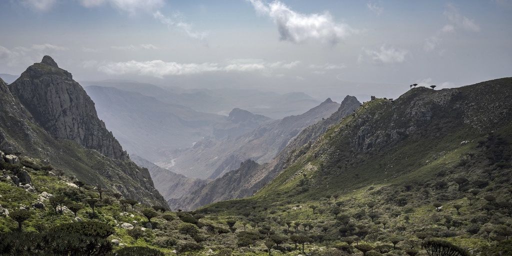 Yémen: plus de 400 touristes bloqués sur l’île de Socotra