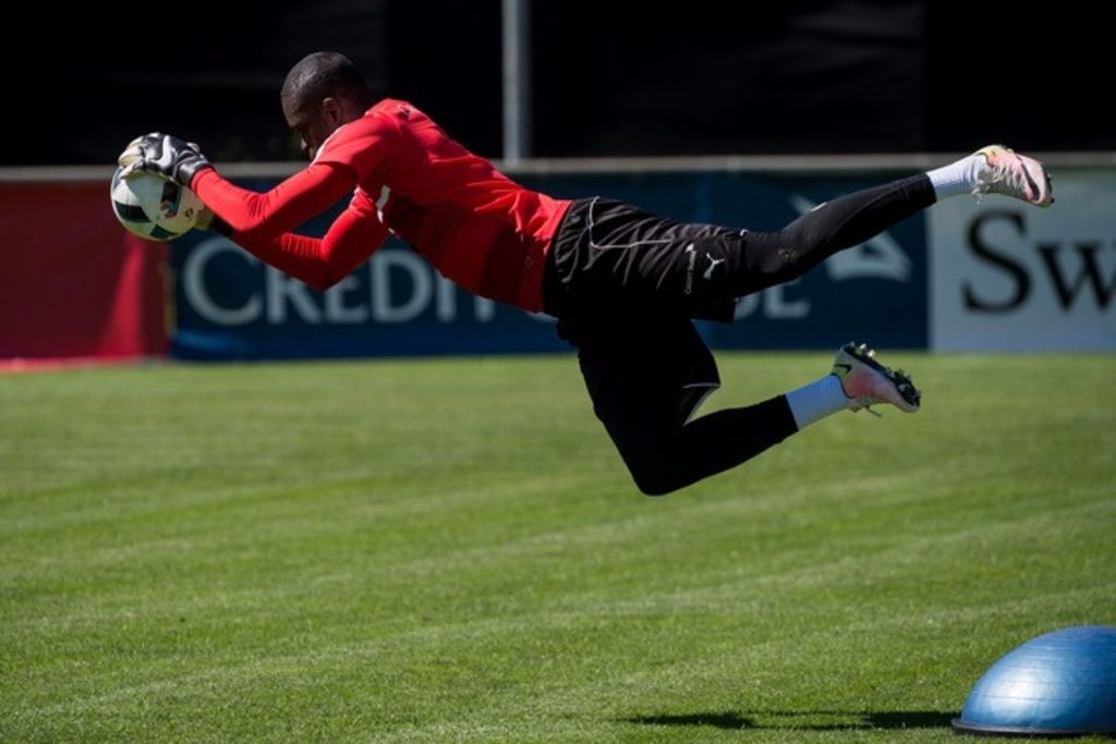 Mvogo et Freuler débarquent avec la Nati | Tribune de Genève