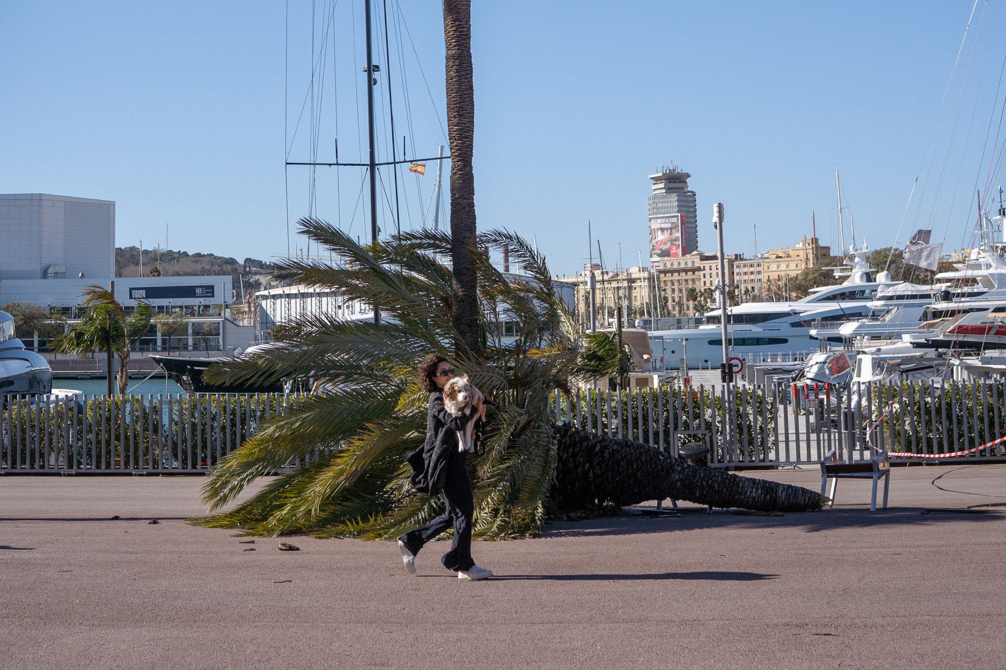Tempête Nils: elle se dirige vers la Corse et les Alpes