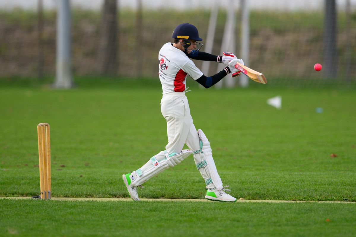 Cricket am Rheinknie: Die Bowler und Batter von Basel | Basler Zeitung