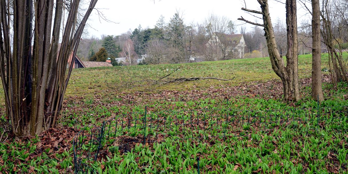 Immobilien in Winterthur: Wird der Weg bald frei für mehr ...