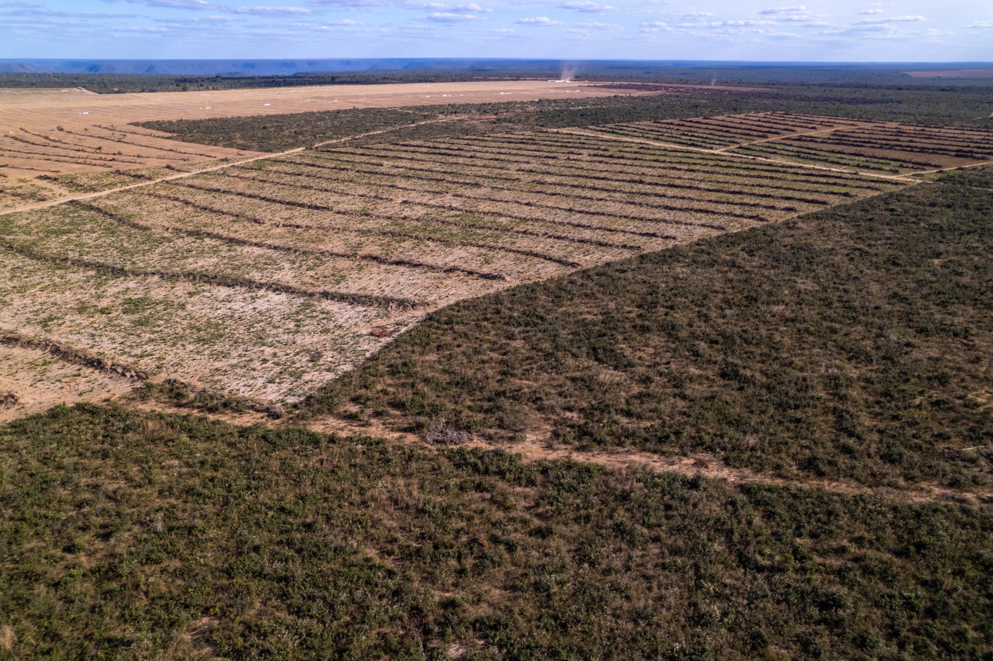 Amazonie brésilienne: la déforestation au plus bas depuis 2019