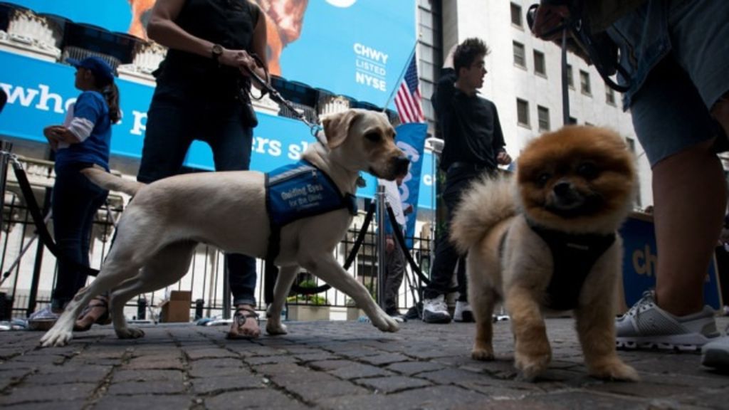 Neuer Realismus bei Tech-Börsengängen | Der Bund