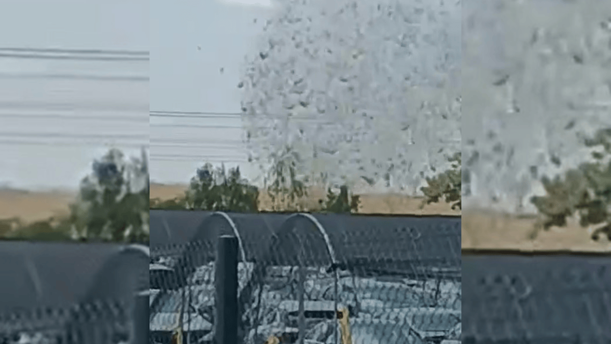 Mini-Tornado Spectacle: Witness Captures Rare Field Twister Near ...