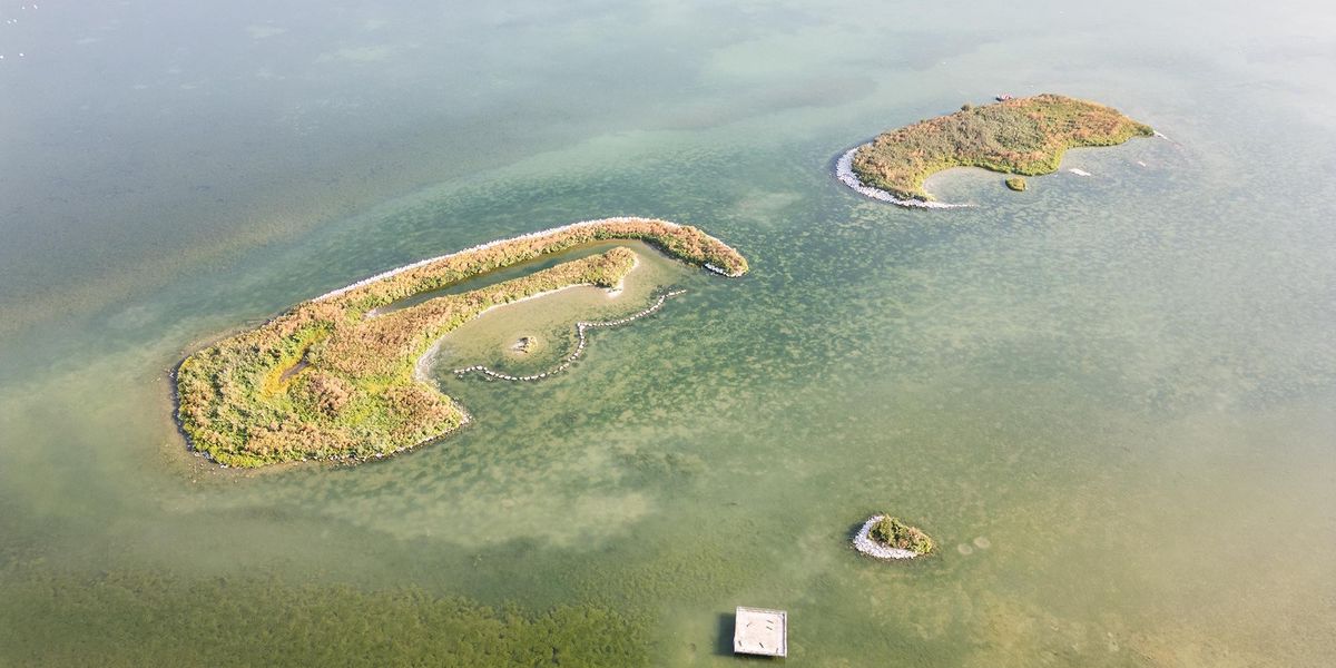 Fanel: les îles réaménagées pour sauver les oiseaux | 24 heures