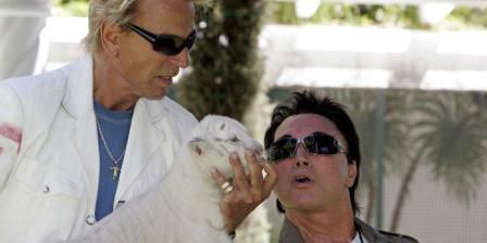 Weiße Raubkatze – Siegfried und Roys Tiger Montecore ist tot - L'essentiel