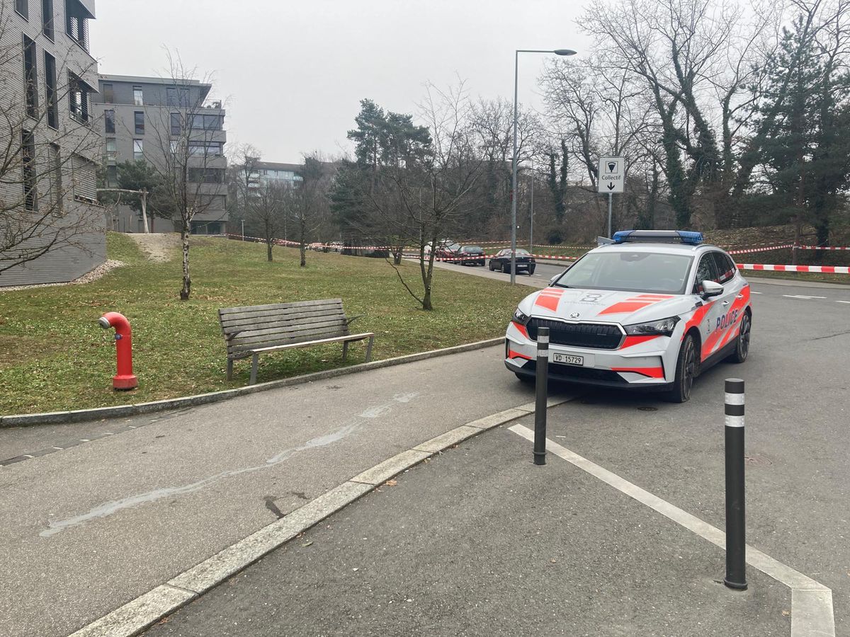 Coup de feu à Malley: «Mon voisin est un héros!» | 24 heures
