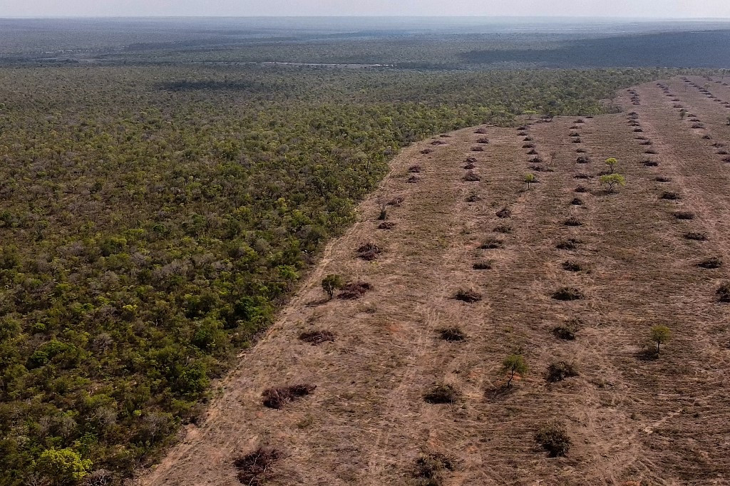 Amazonie: la déforestation fait chuter les rendements agricoles