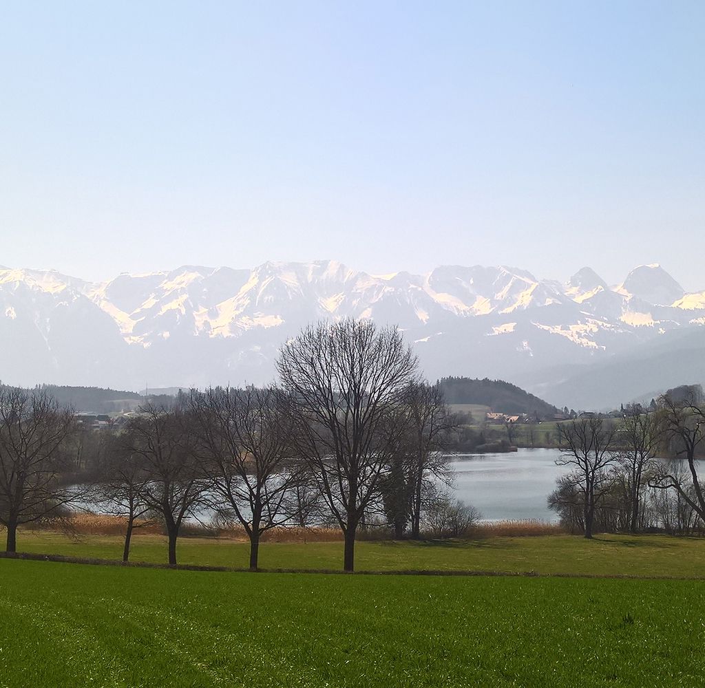 Alpensicht am Gerzensee | Thuner Tagblatt